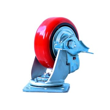 JY2024(castor)